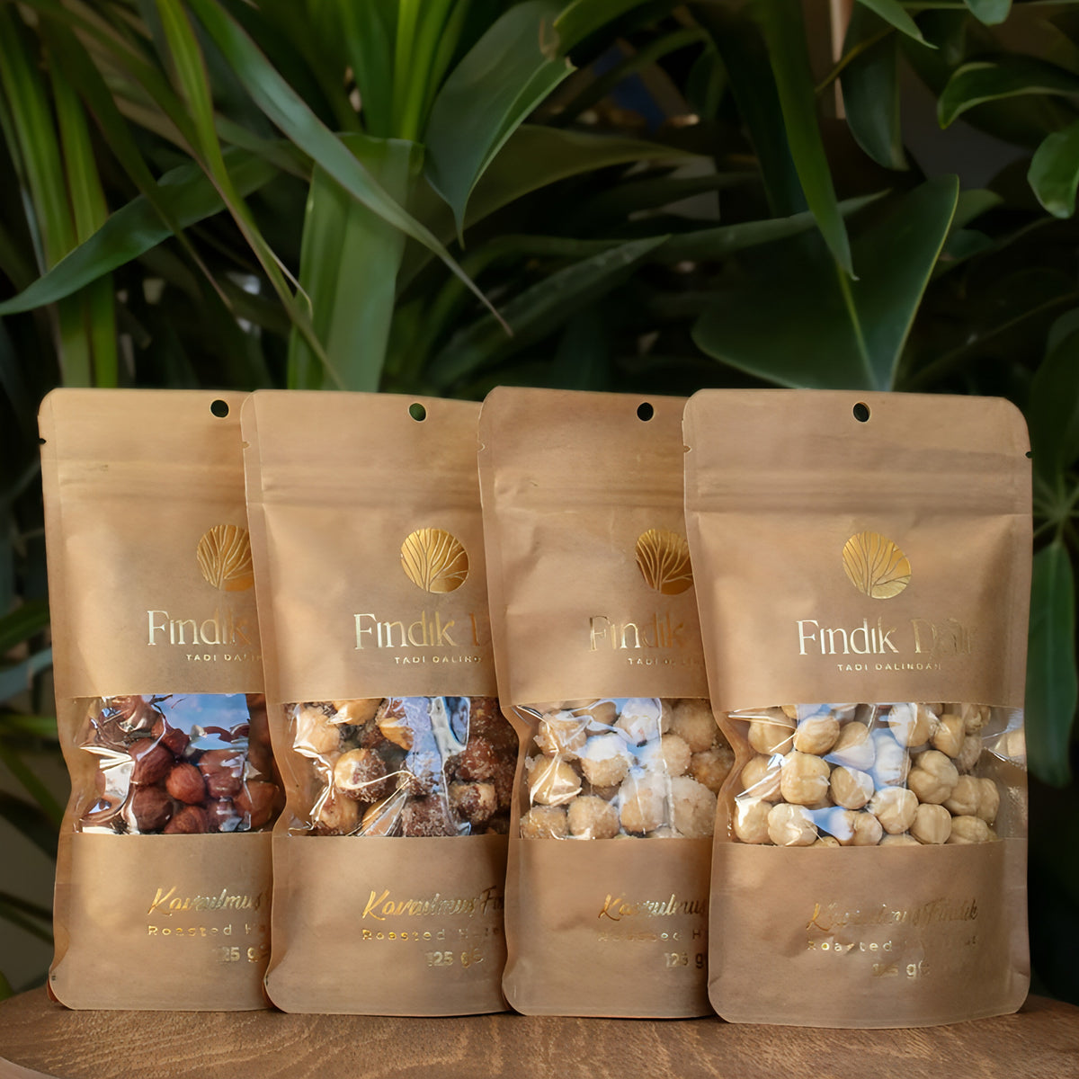 Yolculuk Paketi - Fındık Dalı